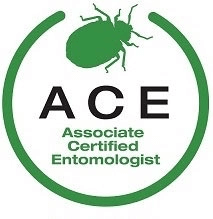 Best Pest Control Services in Plano, TX