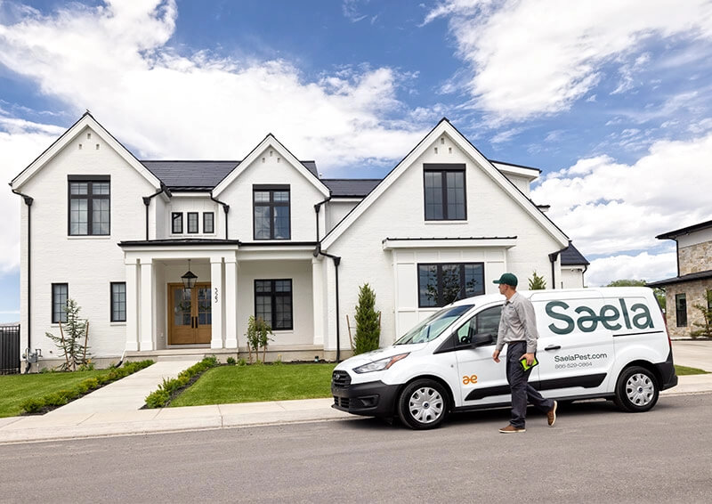 Get Pricing on all Pest and Mosquito Services!