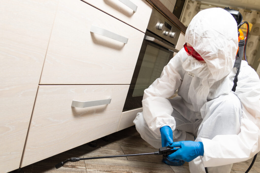 10 Key Benefits of Professional Termite Control Services