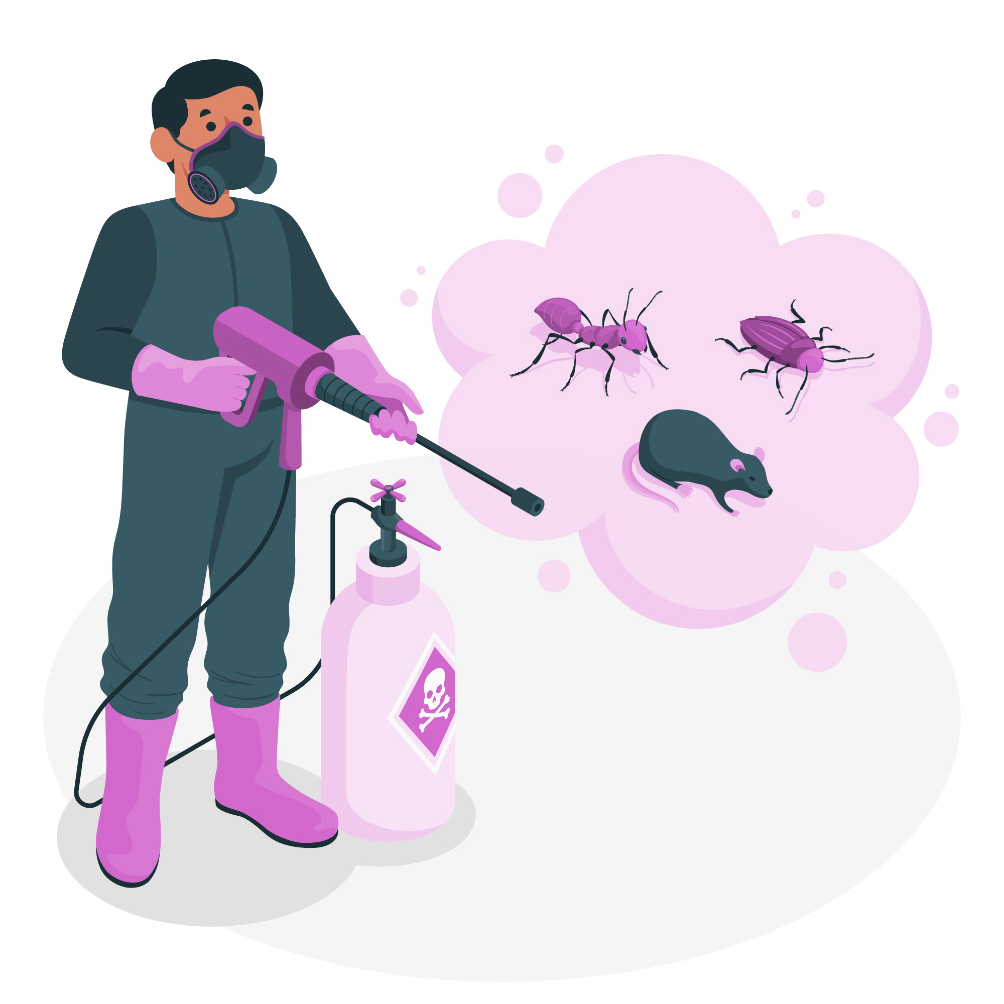 The Benefits of Professional Sheridan Pest Control vs. DIY Methods