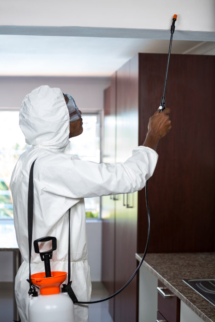 Tips for Choosing the Best Pest Control Service in Fort Worth
