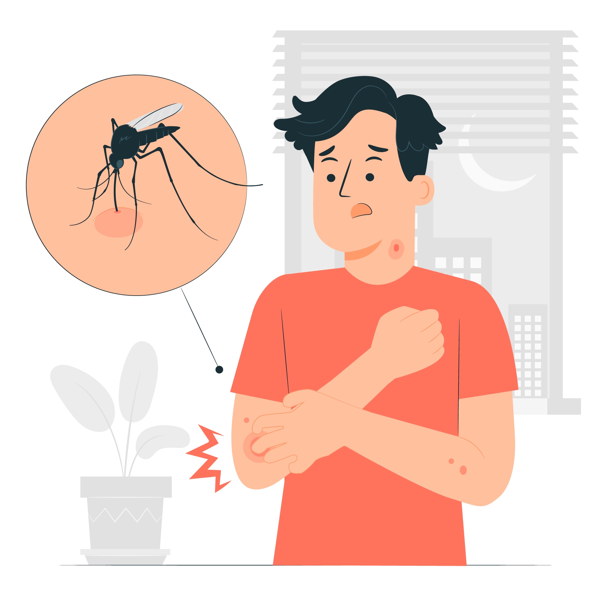 Professional Mosquito Exterminator Guide to Permanently Eliminate Pests