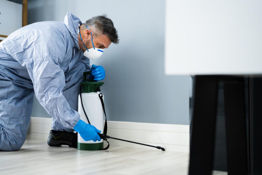 Complete Guide to Pest Control Service in Advance, OR