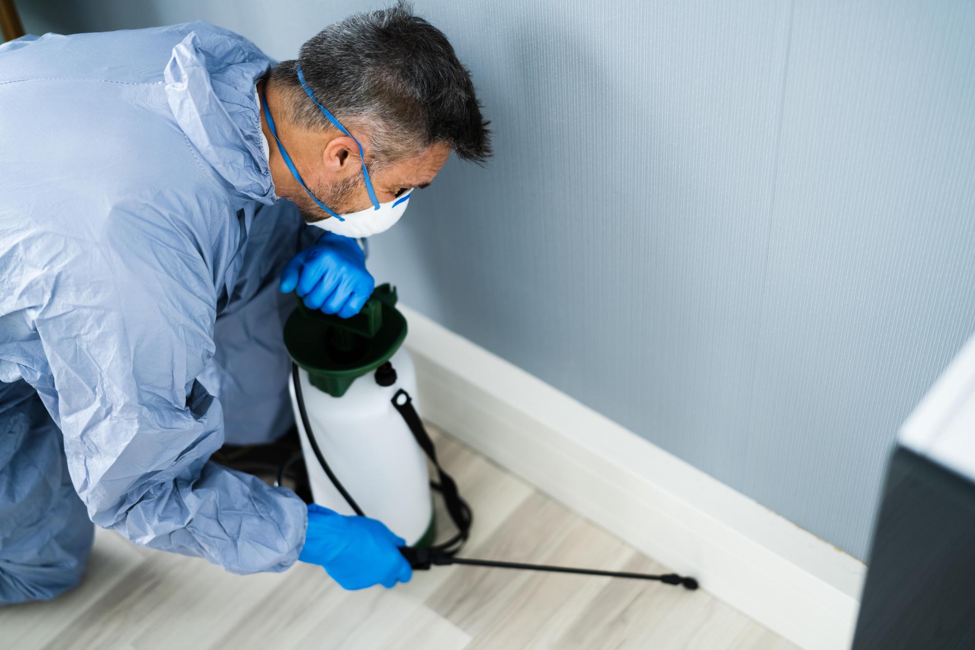 Complete Guide to Pest Control Services in Northglenn